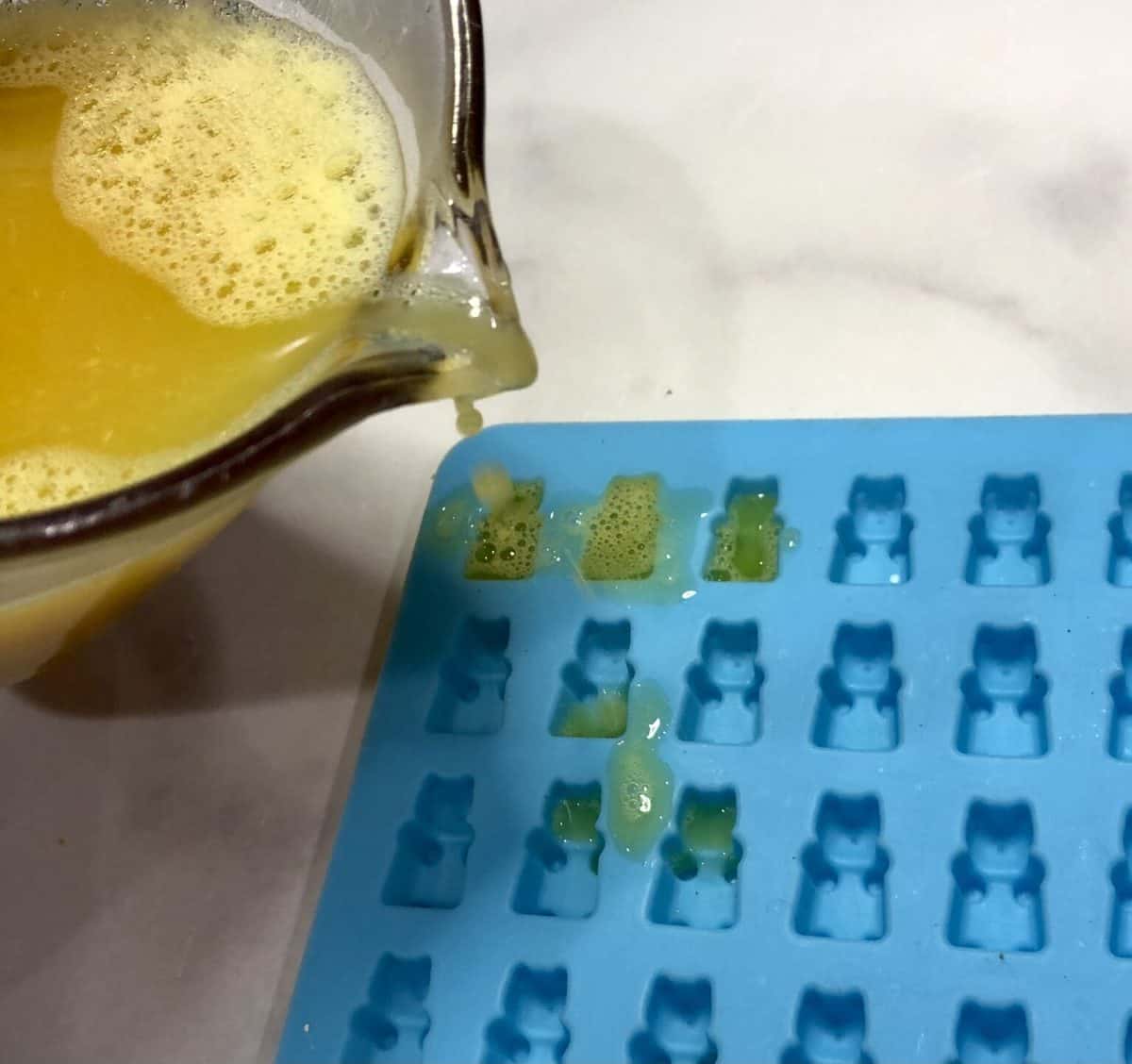 Homemade Healthy Gummies | Food Faith Fitness