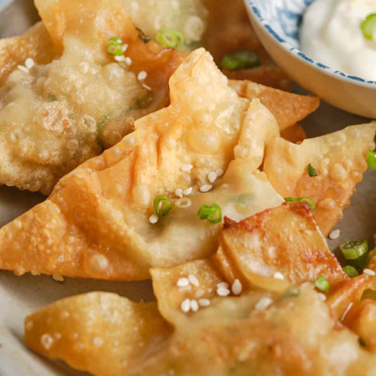 Crispy Fried Wonton Recipe - Food Faith Fitness - Appetizers