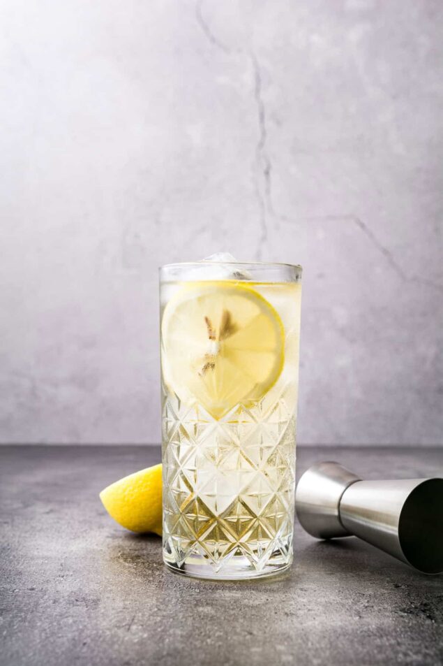 Whiskey Highball Recipe - Food Faith Fitness