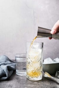 Whiskey Highball Recipe - Food Faith Fitness