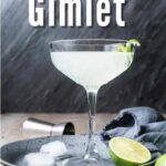 Gimlet Cocktail Recipe - Food Faith Fitness