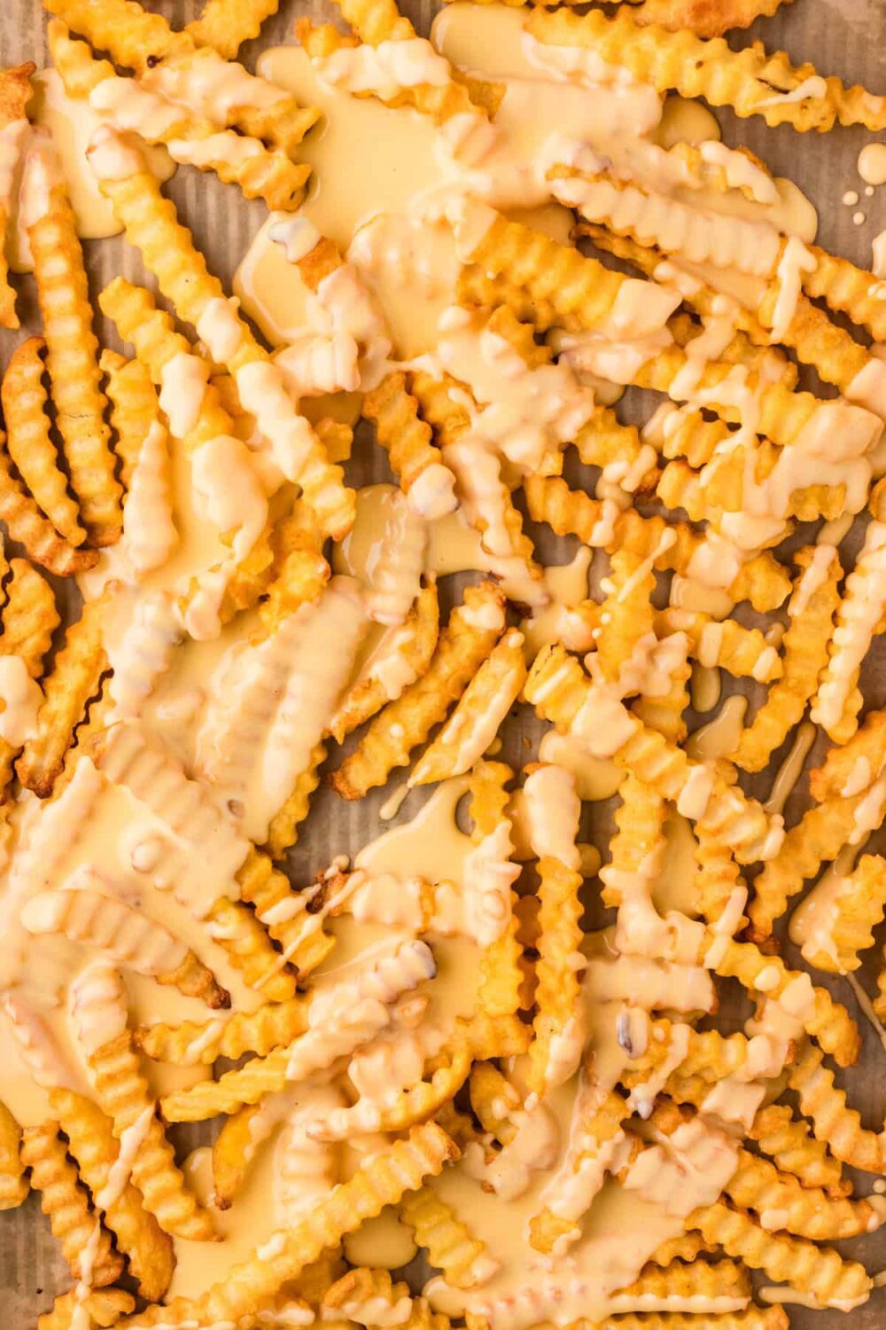 Homemade Cheese Fries Recipe - Food Faith Fitness