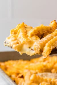 Homemade Cheese Fries Recipe - Food Faith Fitness