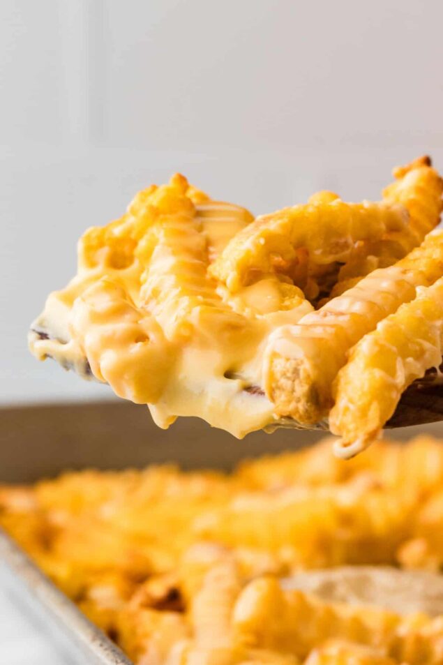 Homemade Cheese Fries Recipe - Food Faith Fitness