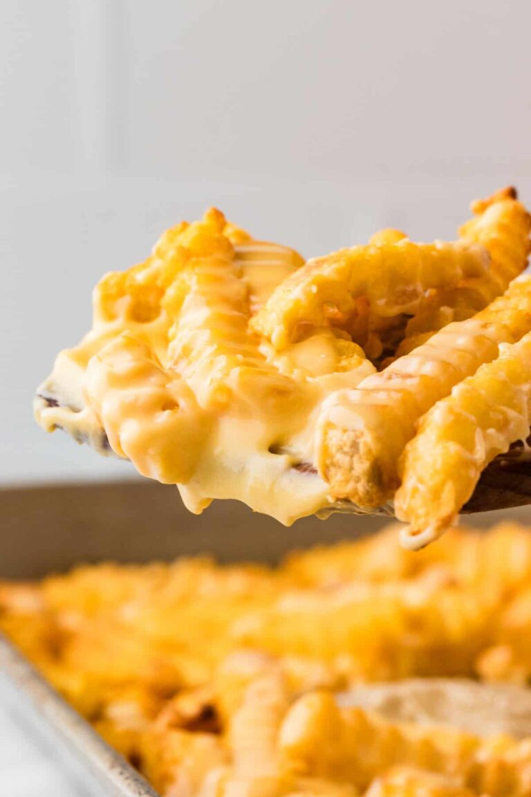 Homemade Cheese Fries Recipe - Food Faith Fitness