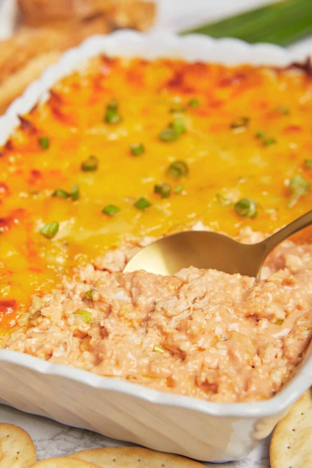 Buffalo Ranch Chicken Dip - Food Faith Fitness