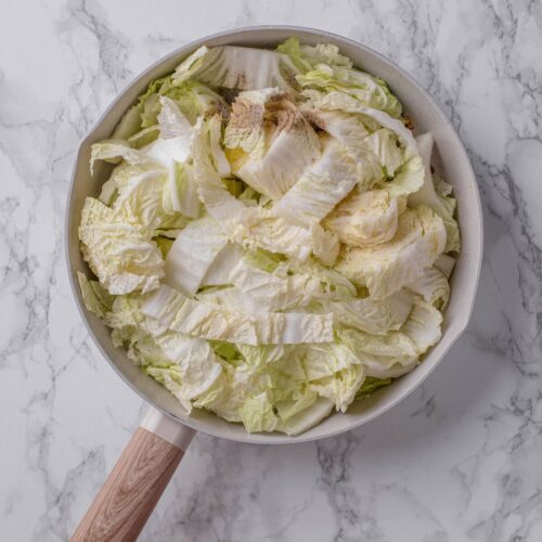 Napa Cabbage - Food Faith Fitness