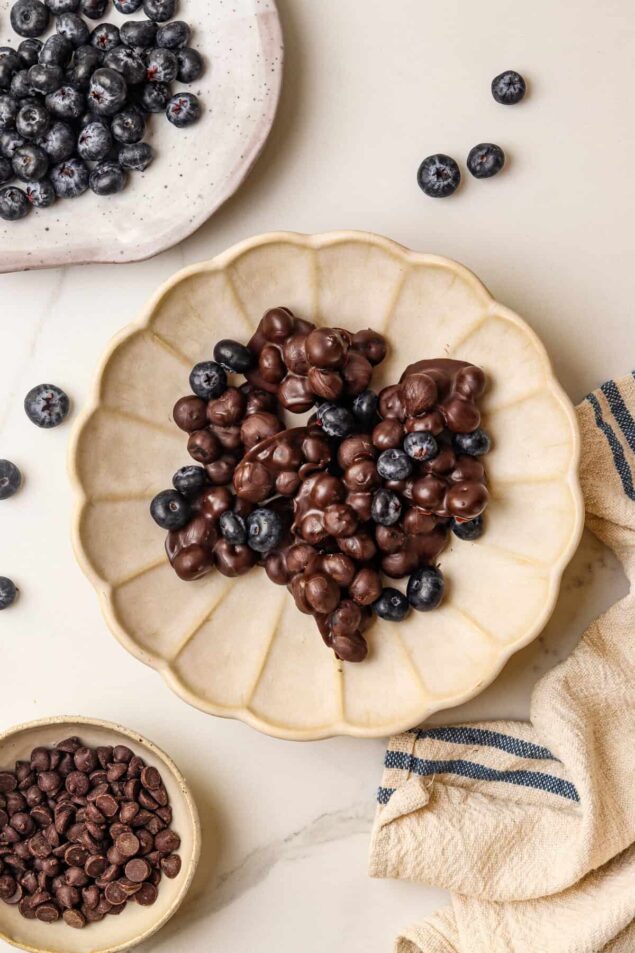 Chocolate-Covered Blueberries - Food Faith Fitness