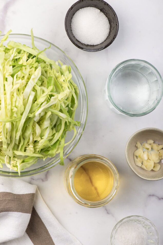Pickled Cabbage - Food Faith Fitness