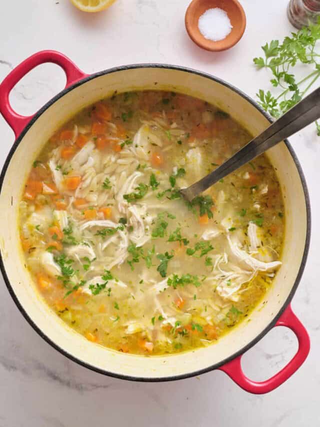 Chicken And Orzo Soup - Food Faith Fitness