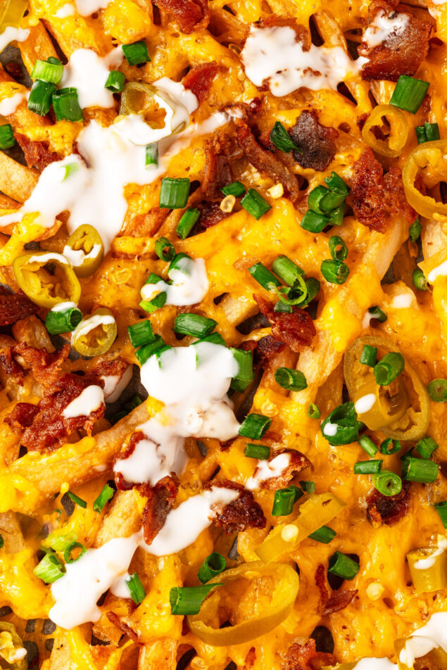 Texas Cheese Fries - Food Faith Fitness
