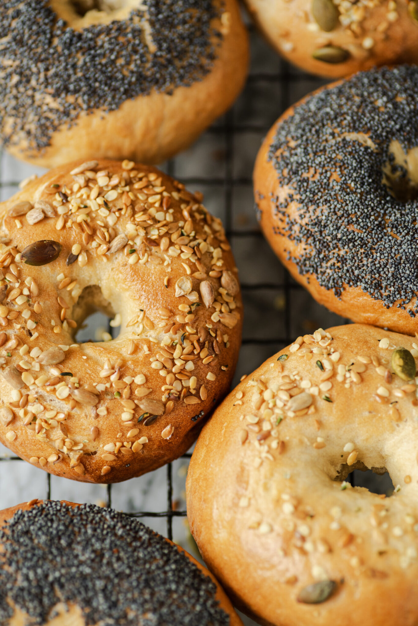 Sourdough Bagel Recipe - Food Faith Fitness